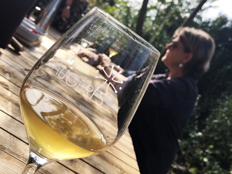 Ratai, taurės ir La Manča | Forum Cinemas kino teatras